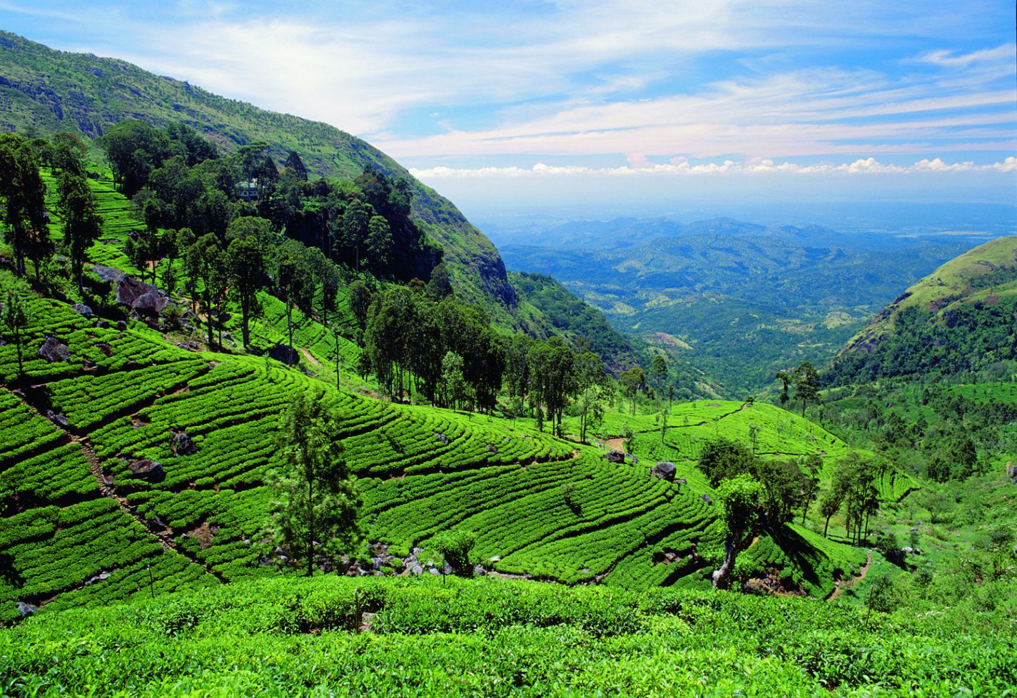 3 Raisons De Visiter Le Sri Lanka Ca Donne Envie 3 Raisons De Visiter Le Sri Lanka Ca Donne Envie