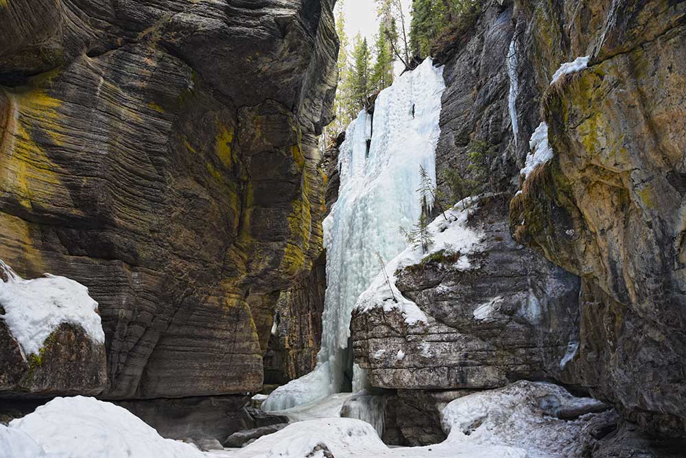 Que faire à Jasper en hiver? Itinéraire à ne pas manquer...